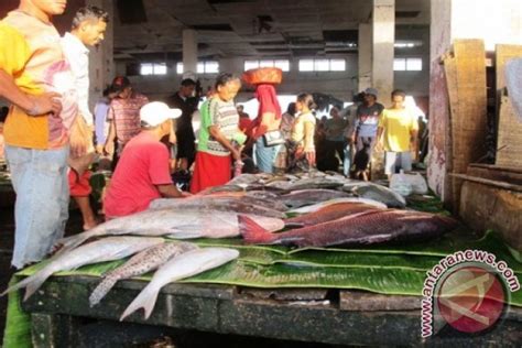 Harga Berbagai Jenis Ikan Segar Masih Mahal ANTARA News Ambon Maluku