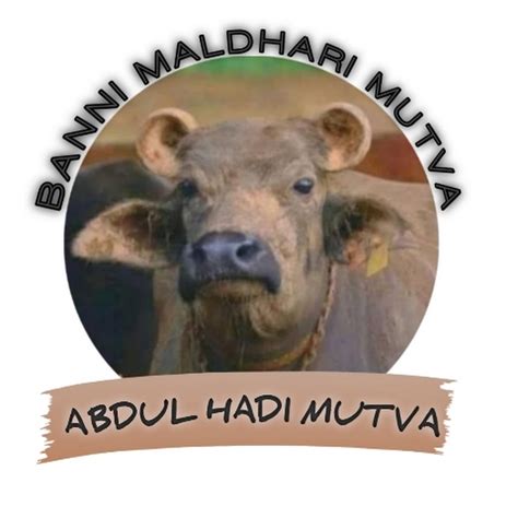 Banni Buffelo Youtube