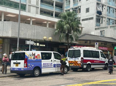 葵涌德昌大廈火警 消防救出多隻貓及需即場急救 香港動物報 Hong Kong Animal Post