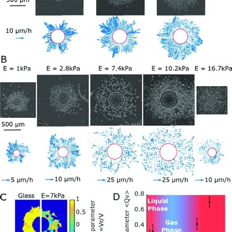 Ct26 Aggregate Spreading Dynamics A Evolution Of The Spreading