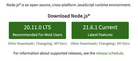 Node js 설치 역할 특징 npm 사용하기