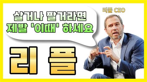 리플 리플ceo 직접 소송종결 날짜 말했습니다 리플수이카바파이코인밀크 Youtube