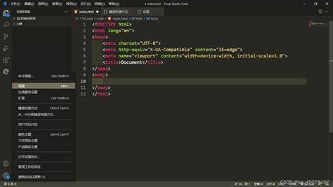 Vscode使用ctrl滚轮实现代码编辑的放大和缩小ctrl鼠标滑动调整vscode代码 Csdn博客