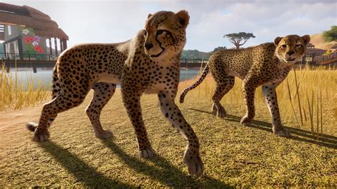 Zoo Wallpapers 4k Hd Zoo Backgrounds On Wallpaperbat