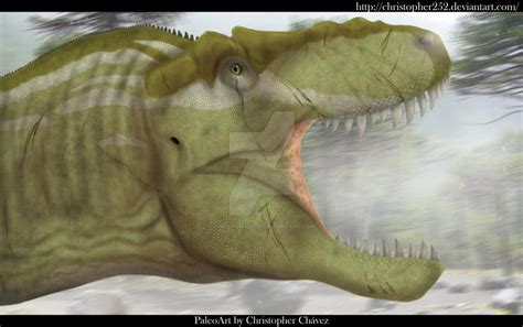 Trex Sue Fmnh Pr 2081 By Christopher252 On Deviantart
