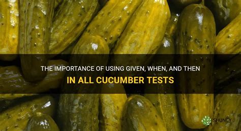 The Importance Of Using Given When And Then In All Cucumber Tests