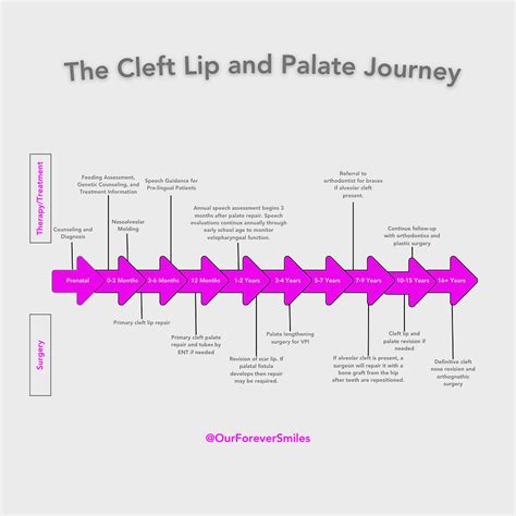 The Cleft Lip And Palate Journey A Comprehensive Timeline