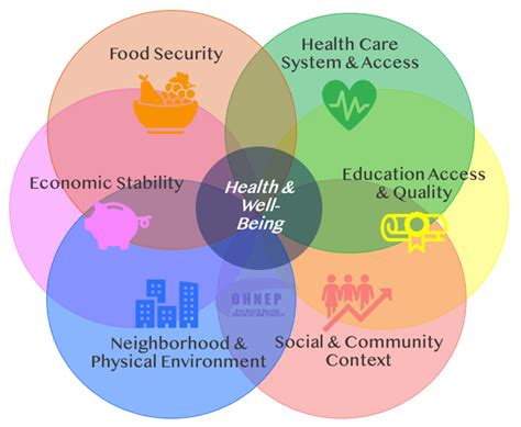 Social Determinants Of Health NYU Rory Meyers College Of Nursing