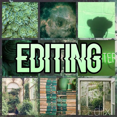 Important Fandom Editors Amino