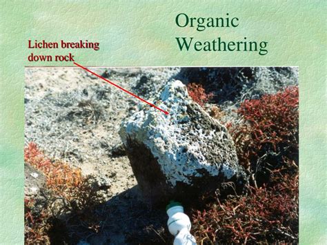 Ppt Weathering And Erosion Powerpoint Presentation Free Download Id 5446486