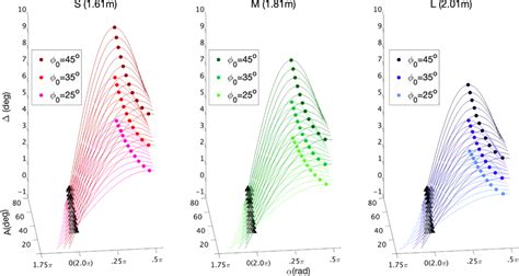 Initial Phase α Amplitude Of The Swing A And Gain Of The Amplitude