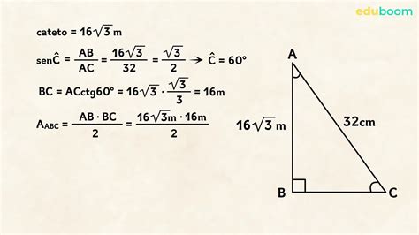 Applicazioni Dei Teoremi Sui Triangoli Rettangoli Matematica Terza
