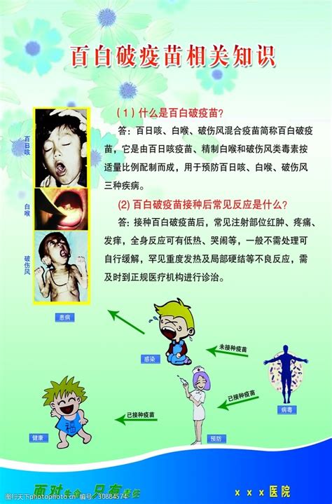 百白破百白破四联疫苗与免费的百白破区别 随意云