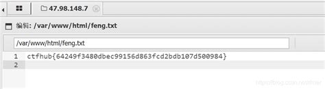 Ctfhub Bypass Disablefunction系列（已完结）ctfhub Bypass Disable Function Csdn博客