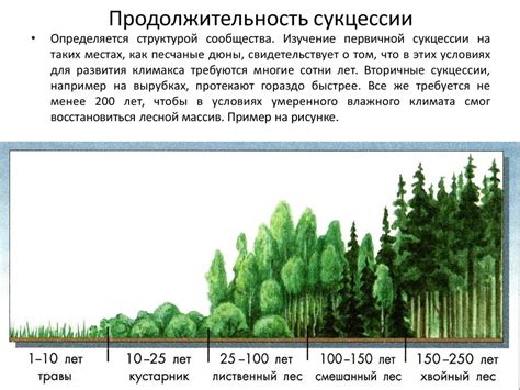 Экологическая сукцессия Последствия влияния деятельности человека на экосистемы презентация