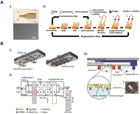 On Chip Biosensors Integrated In Mom Systems For Cell Metabolite