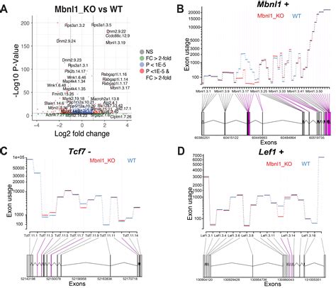 Identification Of Alternative Splicing And Polyadenylation In RNA Seq Data Article JoVE