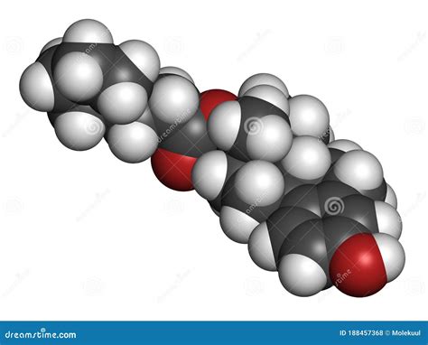 Estradiol Estrogen Female Sex Hormone Molecule Atoms Are Represented