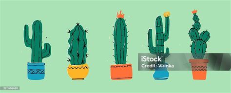 손으로 그린 화분에 심은 선인장과 다육 식물을 다채로운 낙서 스타일로 모아 다양한 모양 크기 활짝 핀 꽃을 특징으로 하여 가정 장식에 적합합니다 벡터 일러스트 레이 션 0