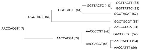 An Example Of A Phylogenetic Tree In Our Example A Common