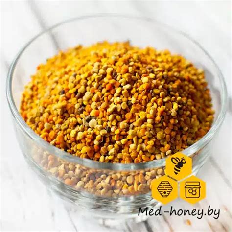 Пыльца пчелиная купить в Минске с доставкой Med Honey By