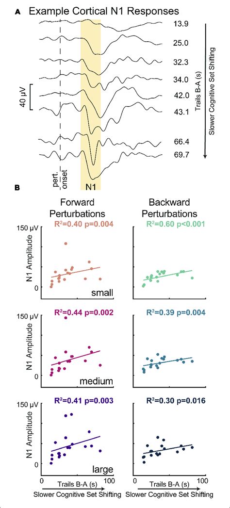 Slower Cognitive Set Shifting Was Associated With Larger