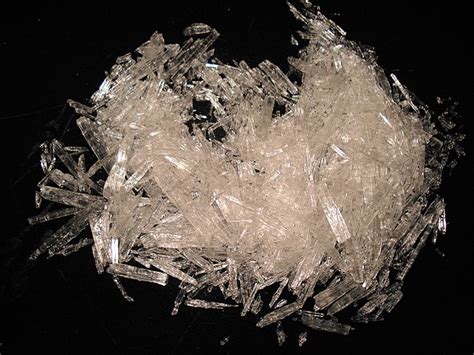 Menthol Vs Mint Whats The Difference Main Difference