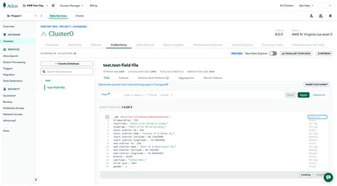 mongoimport example guide database tools mongodb docs