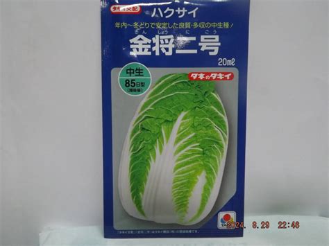 【未使用】種子 新種 営利用 タキイ交配 金将二号白菜 元詰品 20ml入詰 1袋 送料無料の落札情報詳細 Yahooオークション