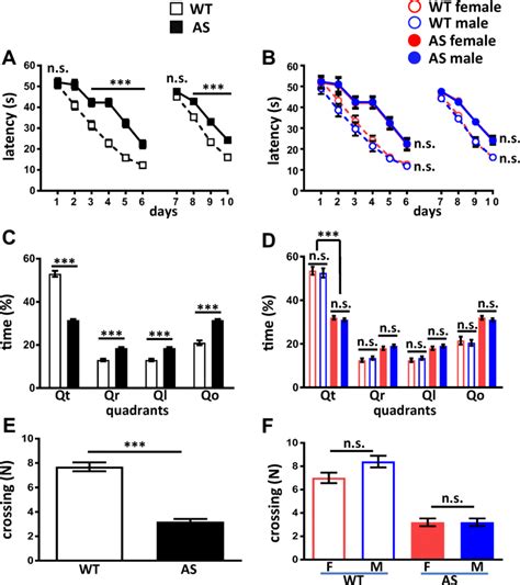 spatial learning and memory retention in the morris water maze as mice
