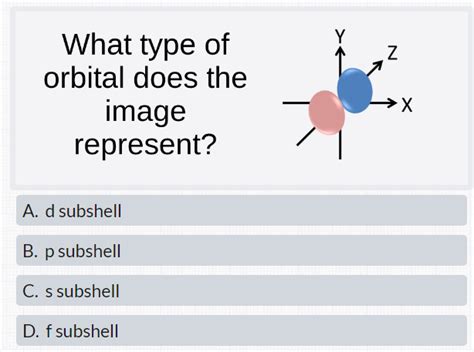 What Type Of Orbital Does The Image Represent StudyX