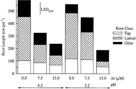 Total Soybean Root Length And Length Of Individual Root Classes At