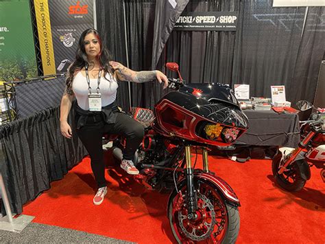 Motocicletas Harley Davidson Bagger Custom Bagger