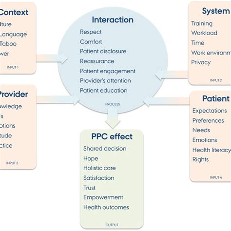 Emerging Themes Applied To The Input Process Output Model