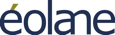 Eolane Malaysia Cci France Malaisie