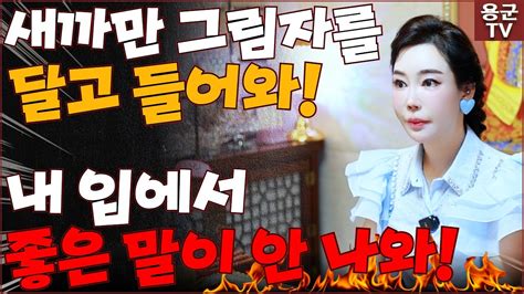 새까만 그림자가 있네 좋은 얘기가 안 나와 부산점집 용군tv 해울신당 Youtube