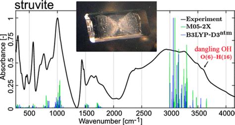 Physicochemical Antioxidant Antimicrobial And In Vitro 41 Off
