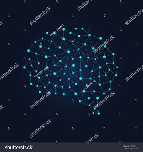 43677 Neural Networks Brain 图片、库存照片和矢量图 Shutterstock
