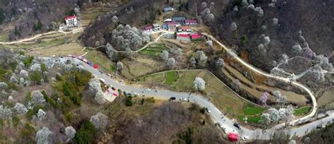 金寨望春谷图片 金寨 金寨人 第2页 大山谷图库