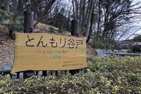 Tokyo Day Trip