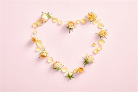 분홍색 배경에 장미로 만든 심장 플로럴 플랫 레이 스타일 구성 상단 보기 발렌타인 데이 어머니의 날 생일 인사말 카드 0명에 대한 스톡 사진 및 기타 이미지 Istock