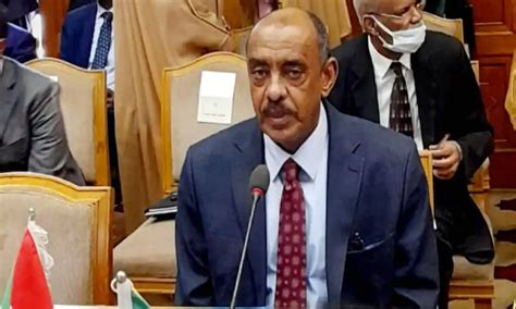 وزير خارجية السودان التحديات في عالمنا تتطلب التعاون بين بلدان الجنوب