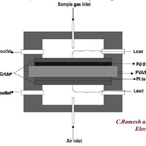 Model Of An Amperometric Sensor Download Scientific Diagram