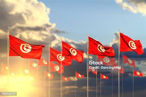 예쁜 어떤 기회 깃발 3d 그림 일몰에 많은 튀니지 국기는 보 케와 함께 행에 배치 하 고 콘텐츠를 위한 장소 0명에 대한 스톡 사진 및 기타 이미지 Istock