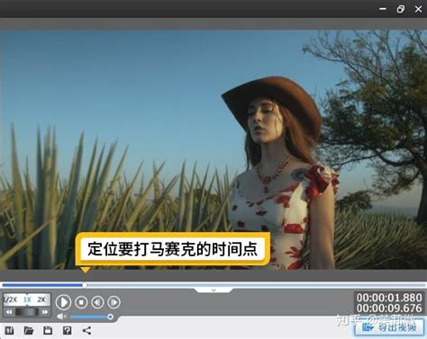 2025最新教程：快速给视频人脸打马赛克技巧（附详细步骤） 知乎