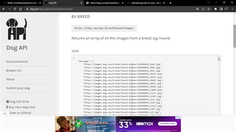 Flutter Error Al Tratar De Traer Imagenes De Una Api Stack Overflow