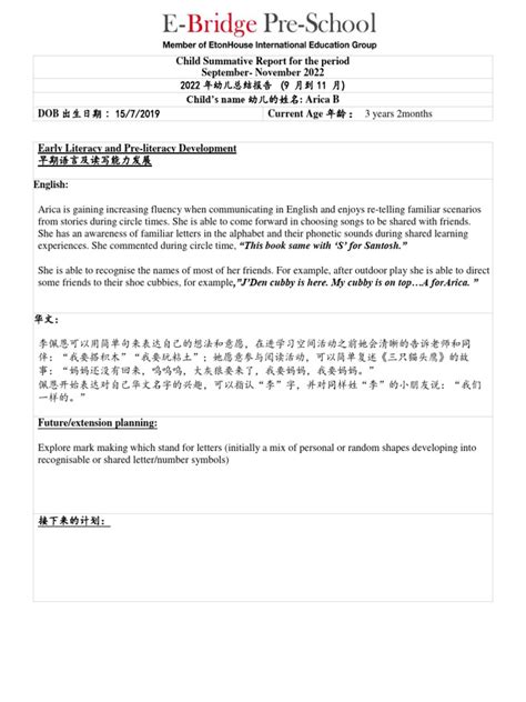 0 3 Summative Report Sample 2022 Pdf
