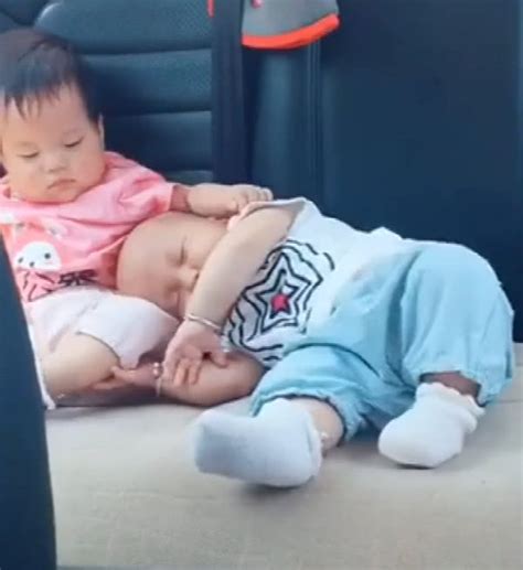 小哥哥睡着正巧倒在妹妹怀里，妹妹的表情，太萌了