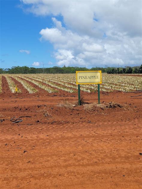 Smk Medical On Linkedin Longtermcare Qapi Pdsa Healthcareexcellence Continuousimprovement…