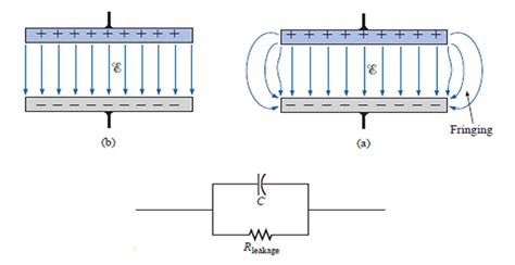 Capacitor Basics Understand Capacitance And Its Applications